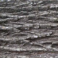 Free Textures - 3dtutorialzone.com